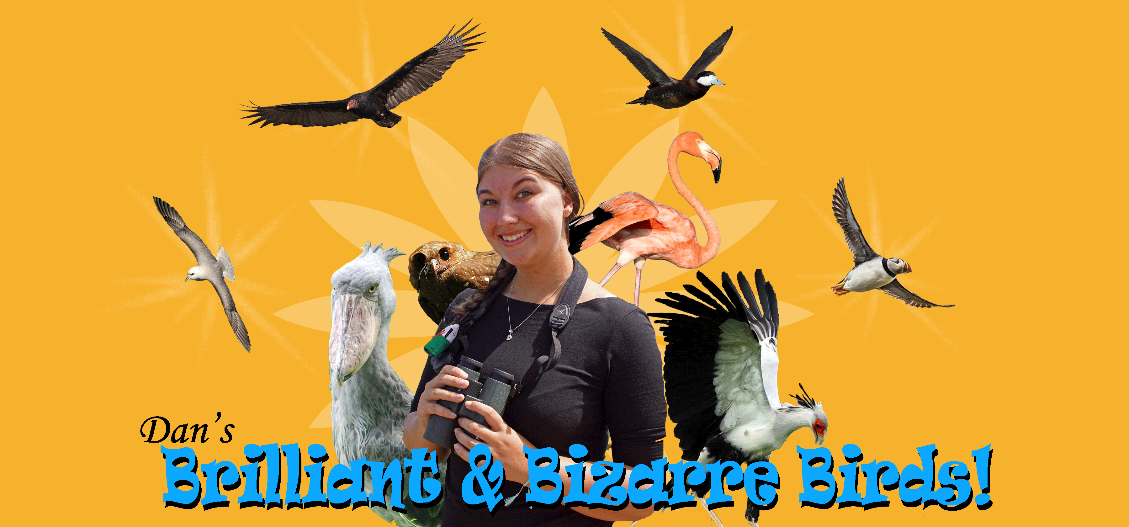 Live Shows – Dan Rouse